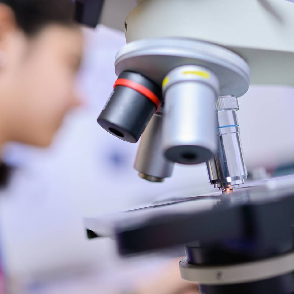 Kreis Viersen stark vertreten