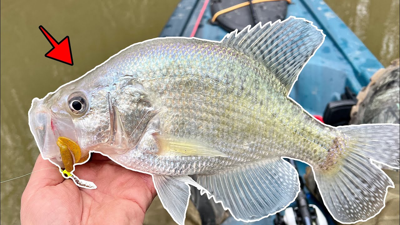 Early spring crappie fishing smashfest!