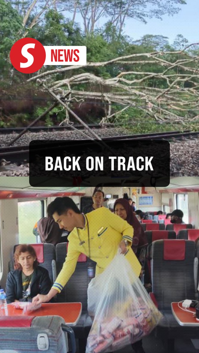 KTM Komuter and ETS services restored after fallen tree blocks Sungkai ...