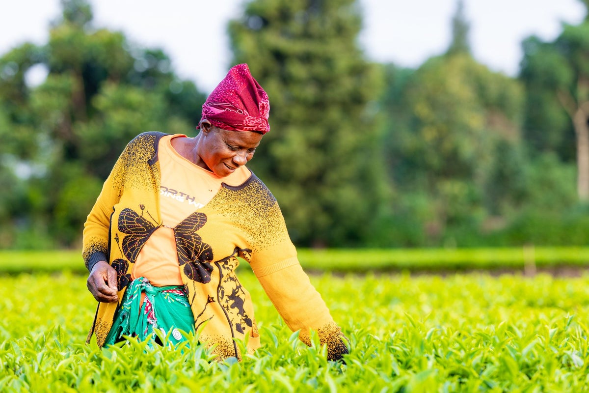 The climate crisis is making young Kenyans turn their backs on farming
