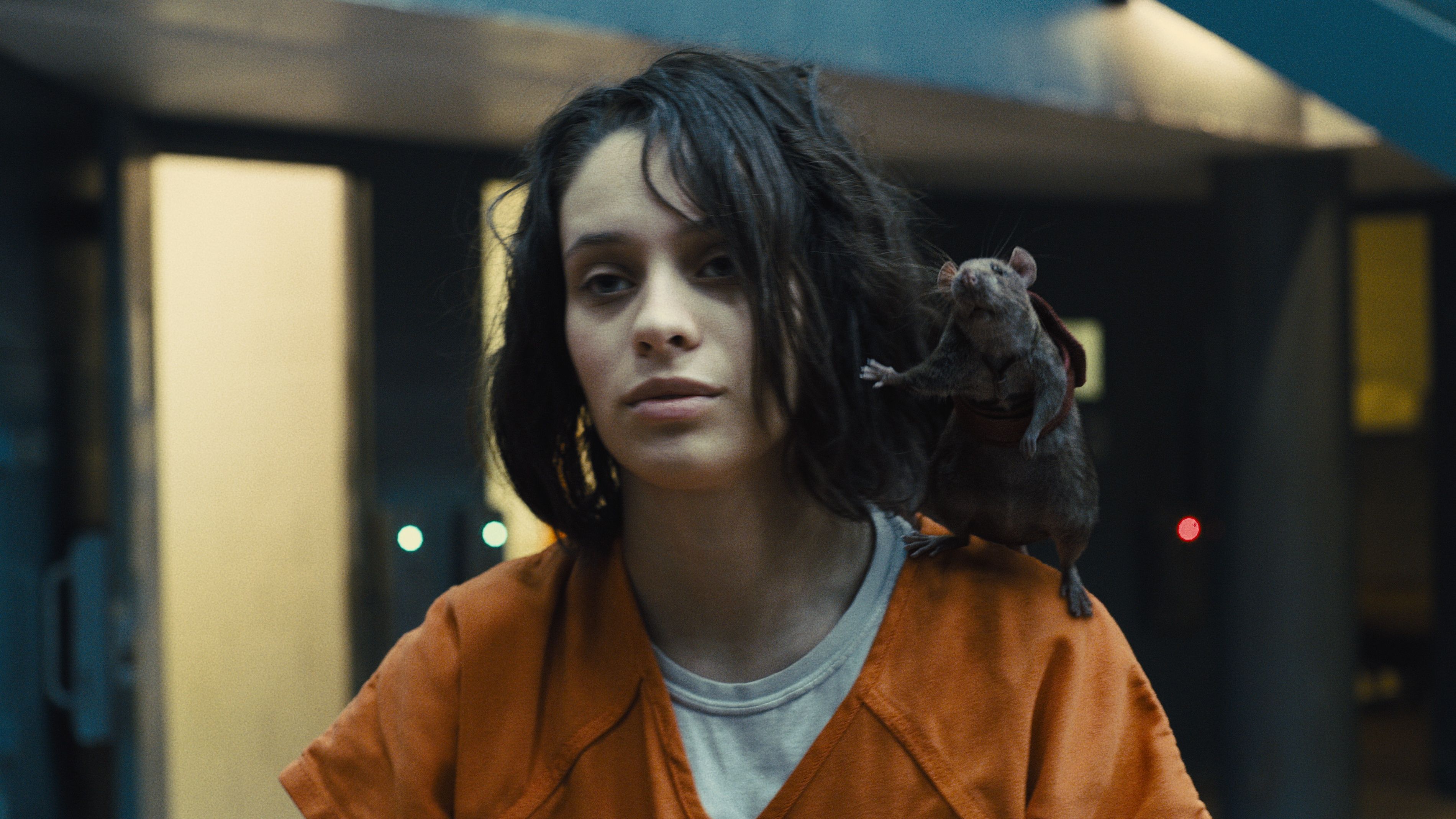 Daniela Melchior gives disappointing update on Ratcatcher's DCU return ...