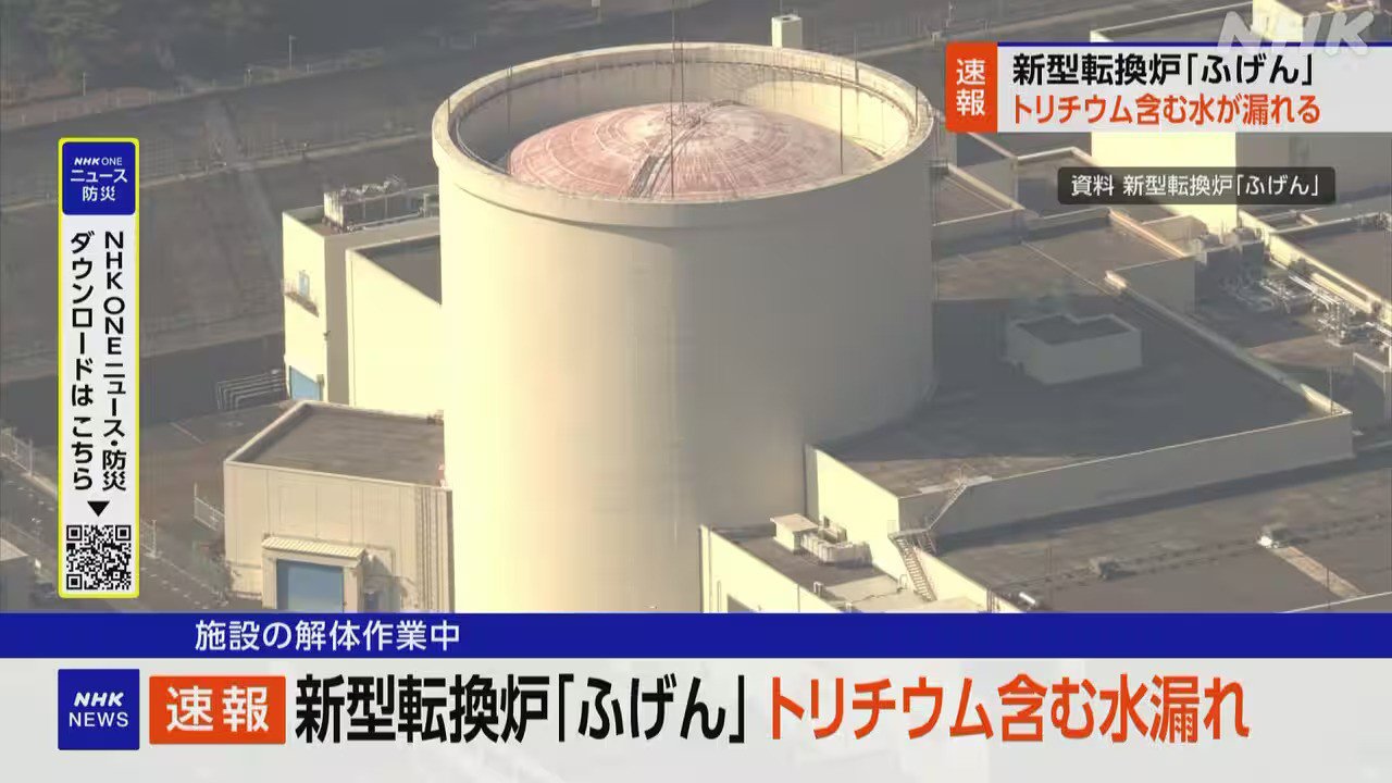 Radioactive leak at nuclear plant in Japan