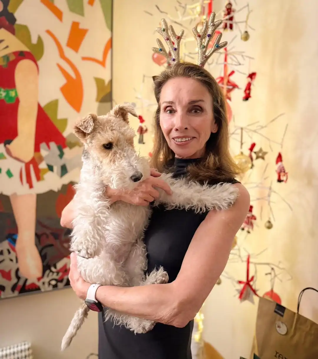 Así es el árbol de Navidad de Ana Belén y Víctor Manuel: es sencillo ...