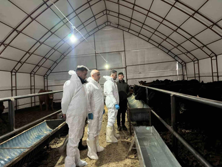 Pertek’te kırsala bereket: Genç veterinere hayvancılık desteği