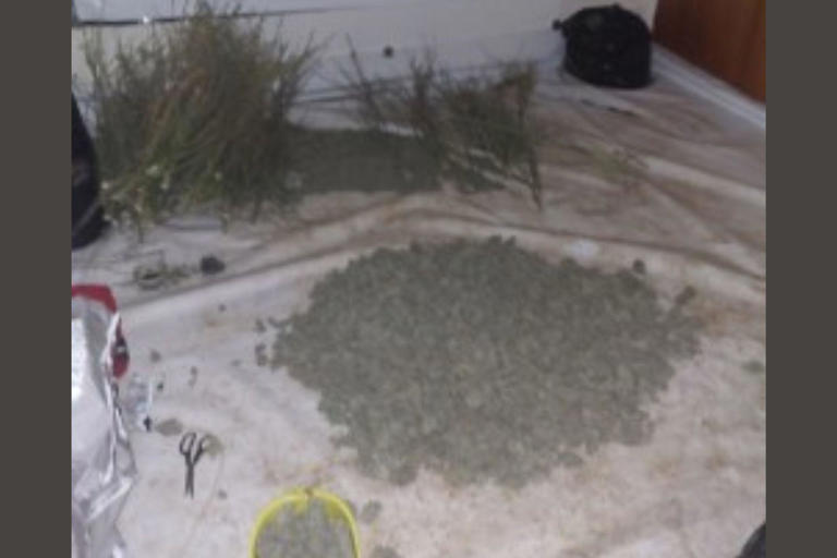 Police uncover cannabis farm at 'vacant' Derbyshire church rectory building