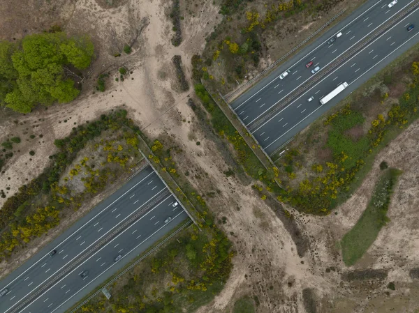 Colorado’s record-breaking wildlife overpass promises 90% collision drop