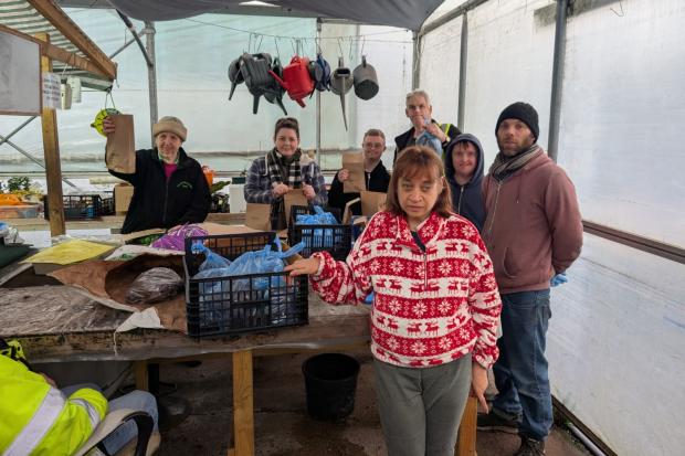 Community nursery's 2p vegetable bags take on supermarkets in festive ...