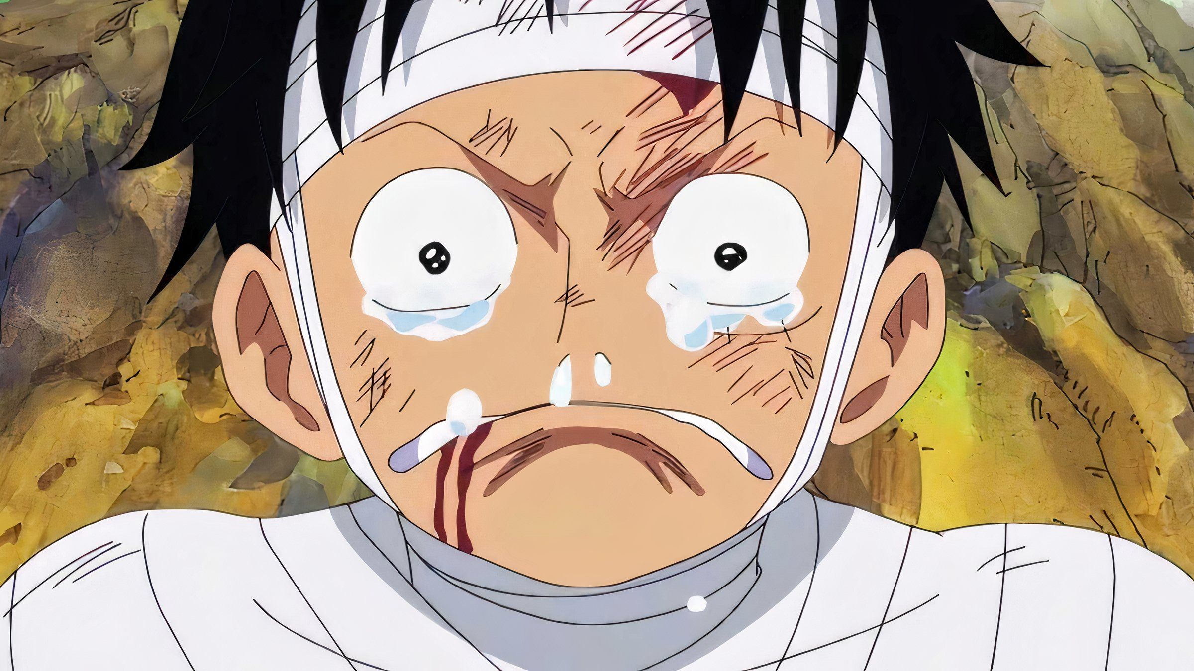 December 28 will be the end of an era for One Piece