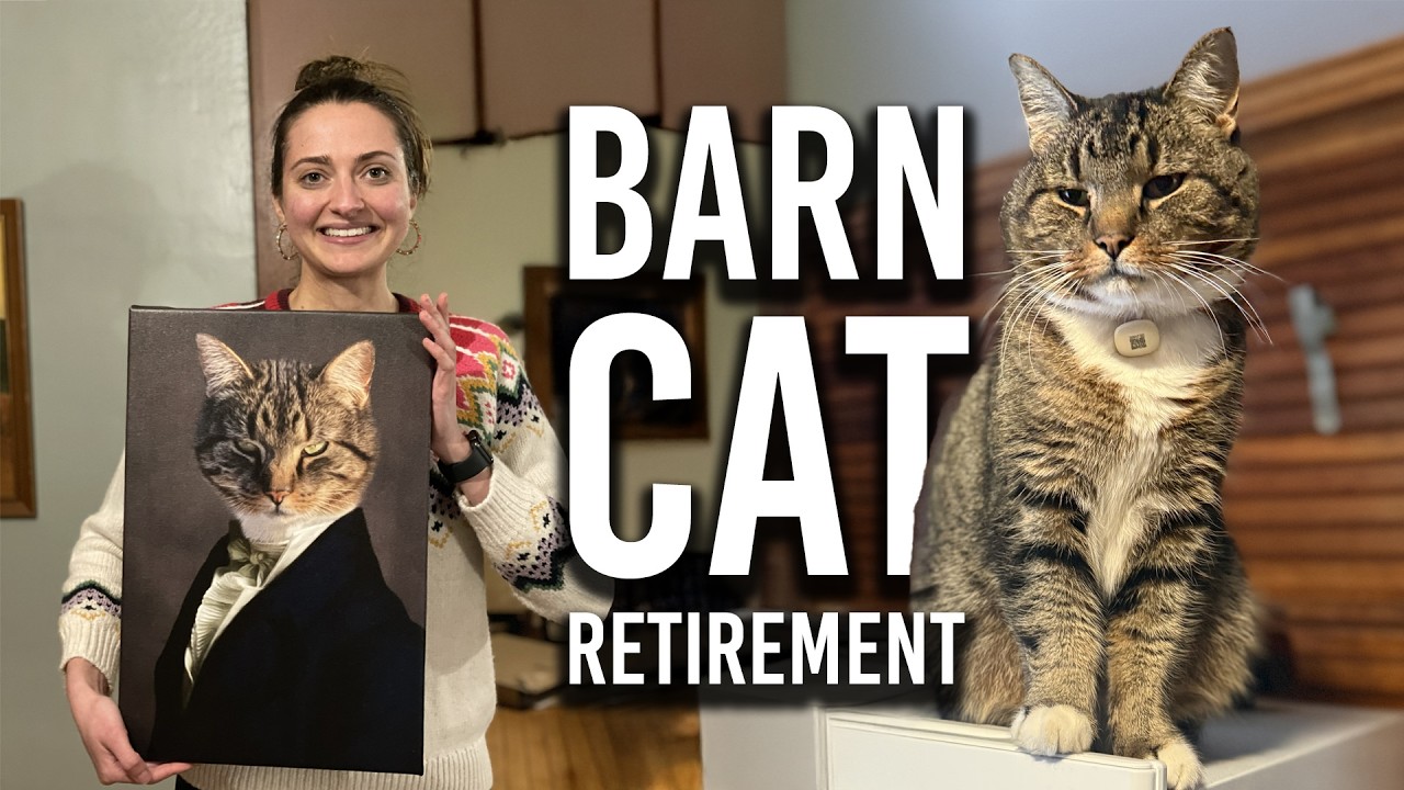Pablo the barn cat begins a well-earned retirement