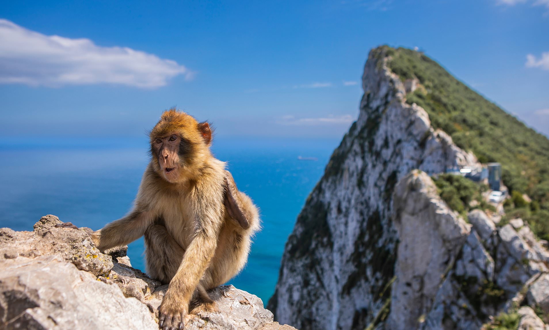Unrestricted EU travel for Brits in Gibraltar set to 'undo damage' of ...