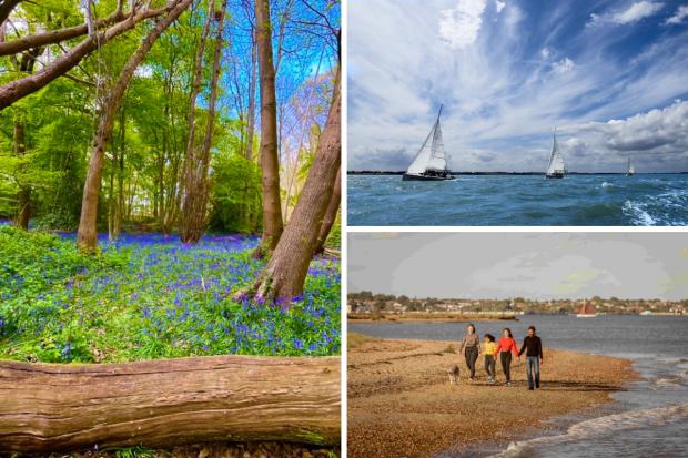Visit Essex unveils festivals, food and new attractions launching in 2026
