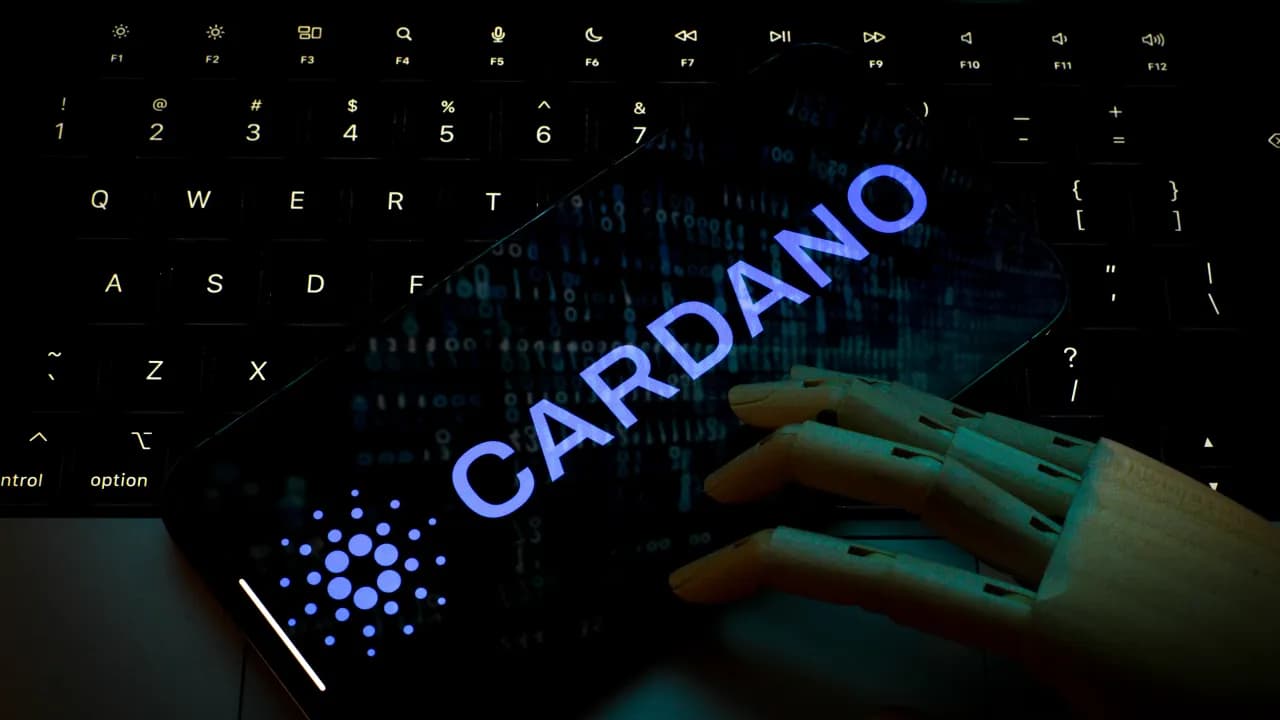 Solana and Cardano co-founders back calls for interoperability bridge