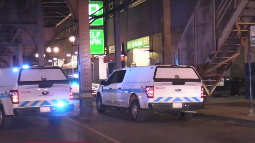 Man dead, another injured after shooting on CTA Pink Line train in ...