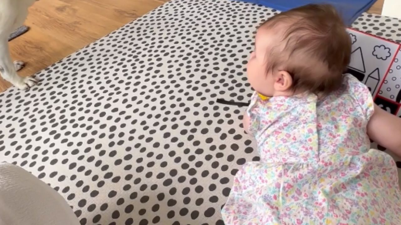 Baby giggles heartily when mum squeezes the squeaky toy for her wholesome