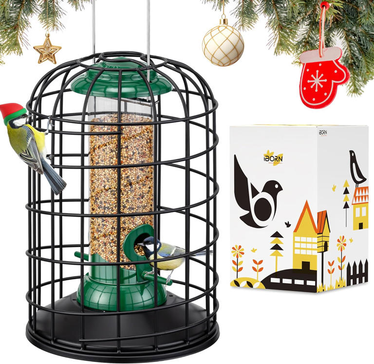 The 5-7-9 rule could squirrel-proof your bird feeder – here's what the ...