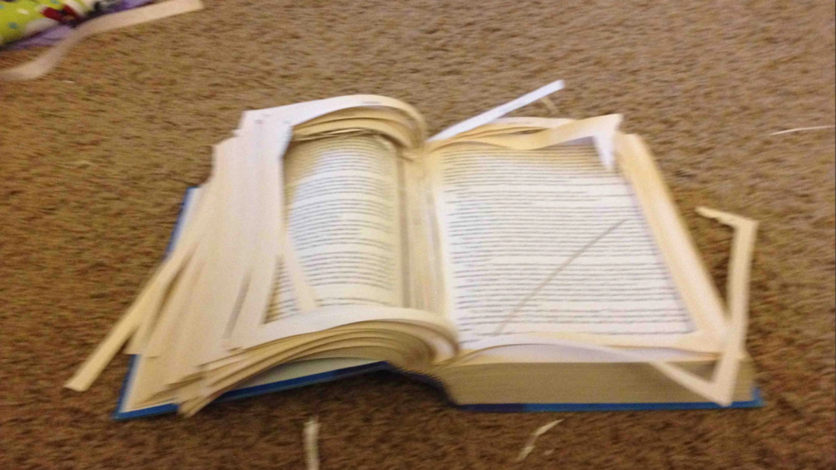 17 DIY projects that ignored every warning sign