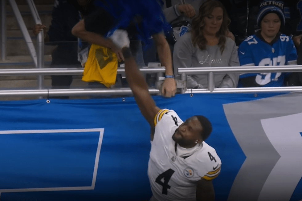 NFL star appears to throw punch at fan during match sparking official ...