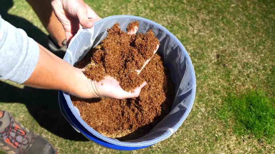 When you can’t choose a grass type - use them all