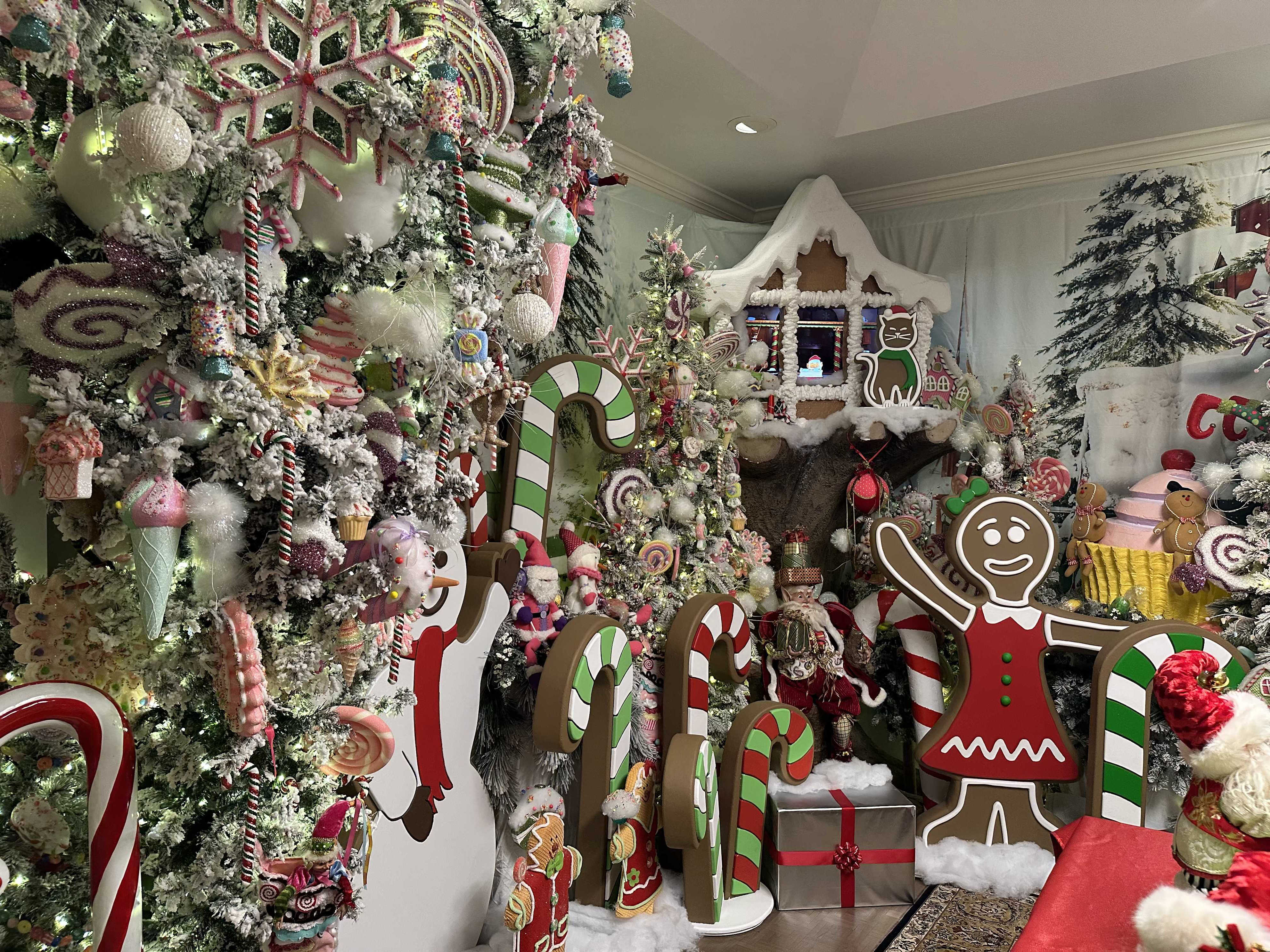 Step inside one Florida man's home, bringing Christmas magic to life ...
