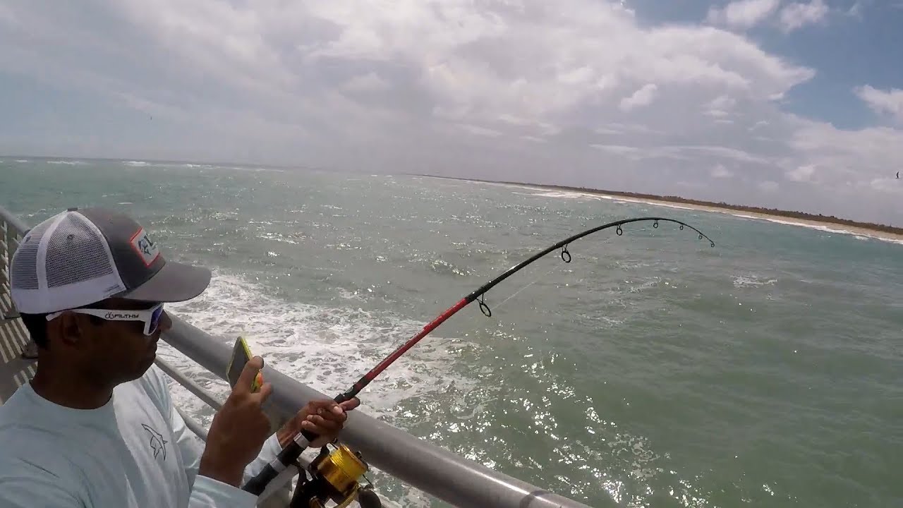 Guy hooks massive shark that gets eaten mid-fight