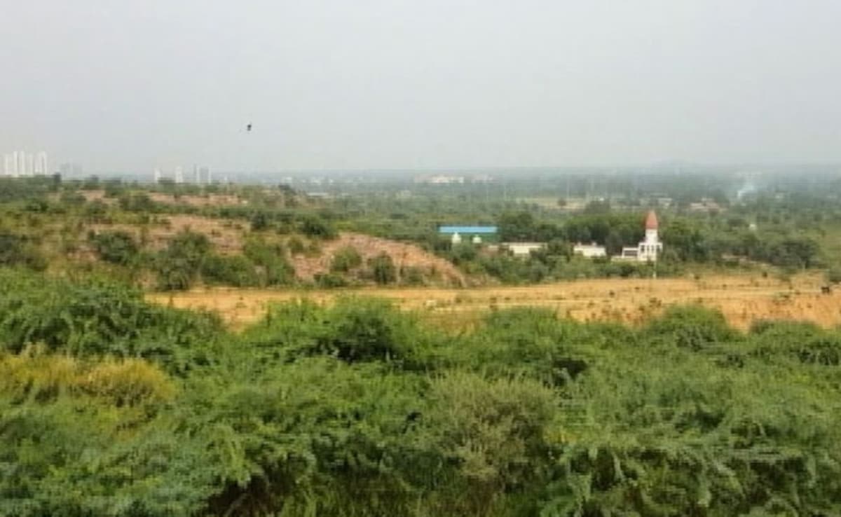 No study says only 9% Aravalli above 100 meters: Forest Survey of India ...