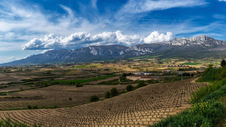 Spanien: Als Baby vertauschte Frau erhält fast eine Million Euro ...