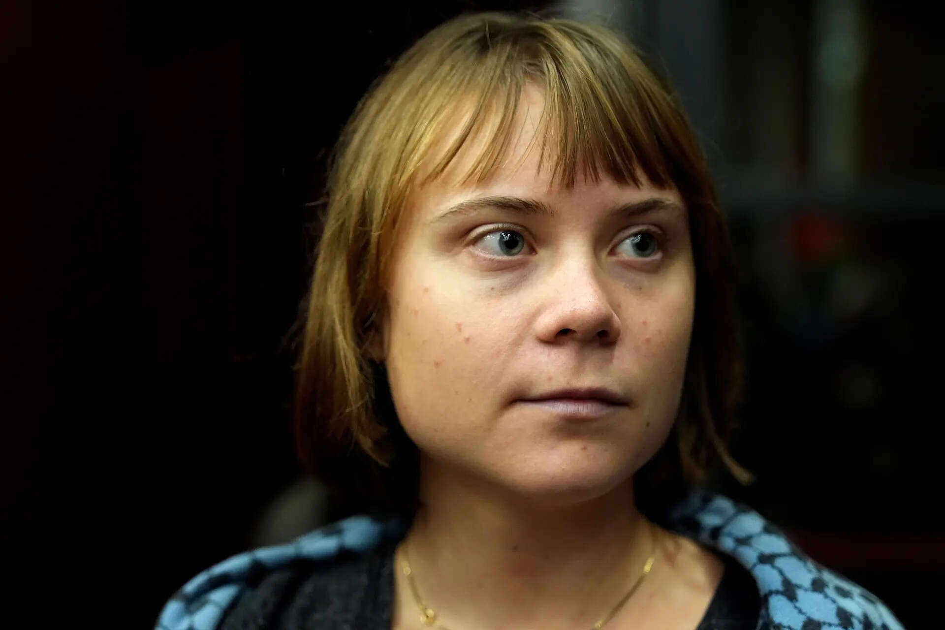 Greta Thunberg arrested in London while backing hunger-striking pro ...