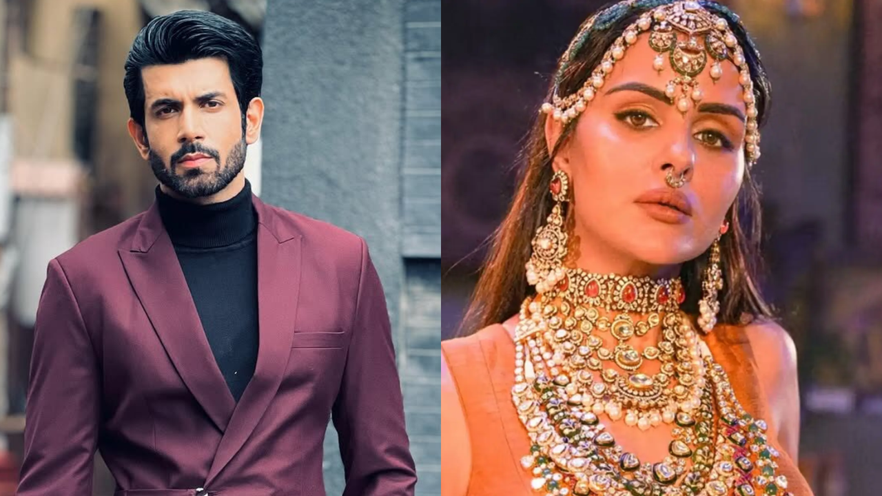 Naagin 7: Co-star Namik Paul shares that Priyanka Chahar Chaudhary ...