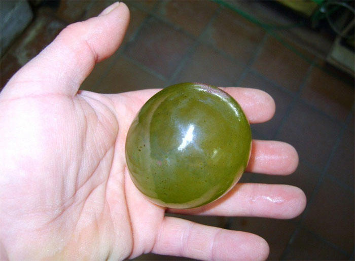 49 fascinating pics of rarely seen things