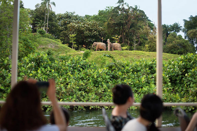 Exploring Singapore with my toddler: A family-friendly adventure