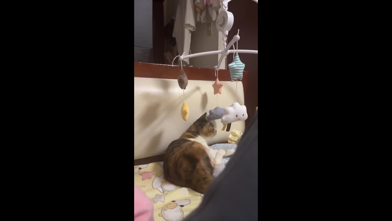 Pet cat plays with baby's hanging mobile in bed
