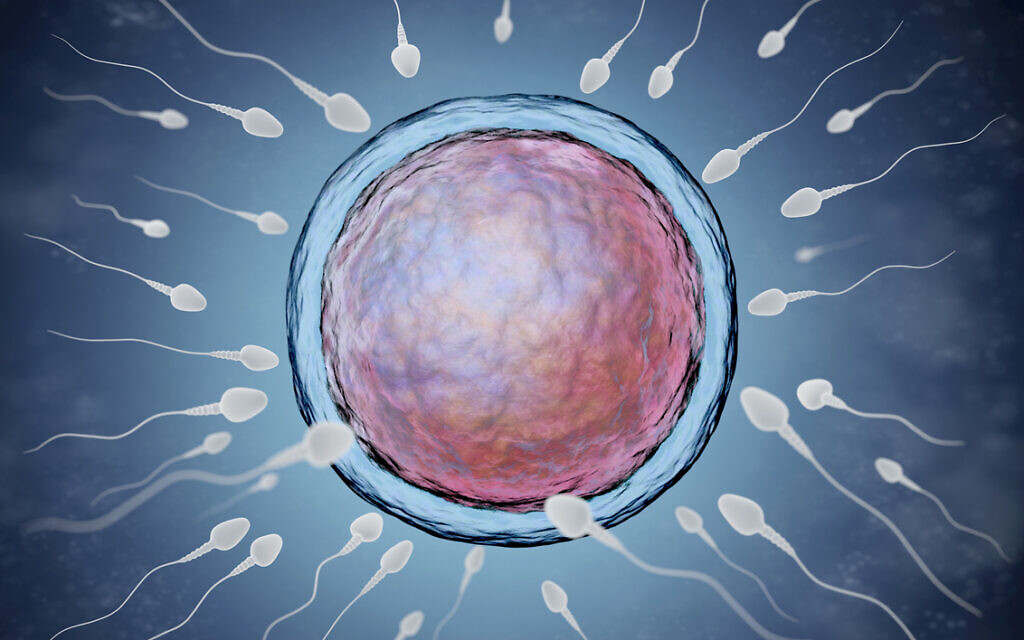 New Health Ministry guidelines: Sperm bank donations from one donor ...