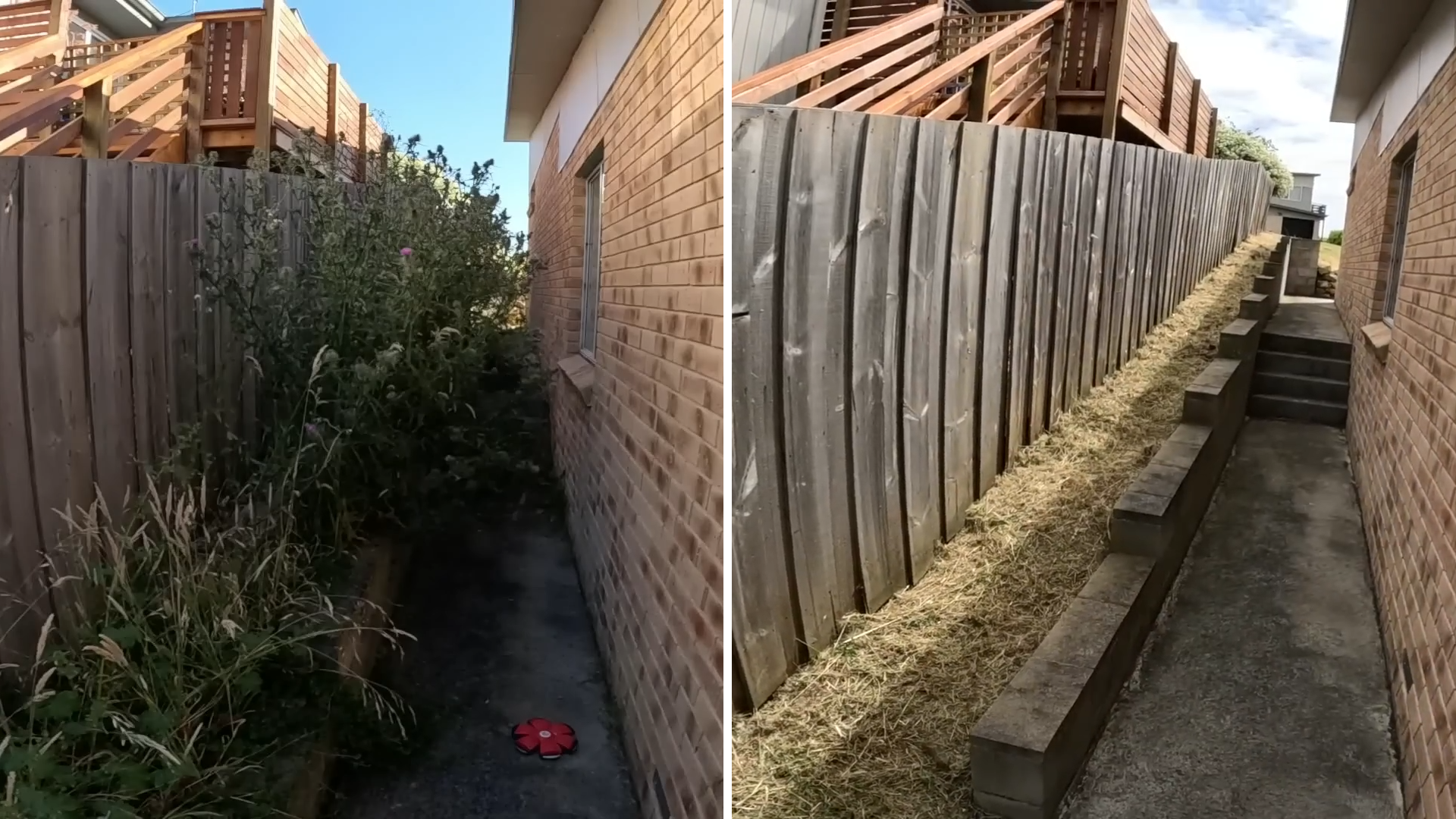 Extreme overgrown yard cleanup