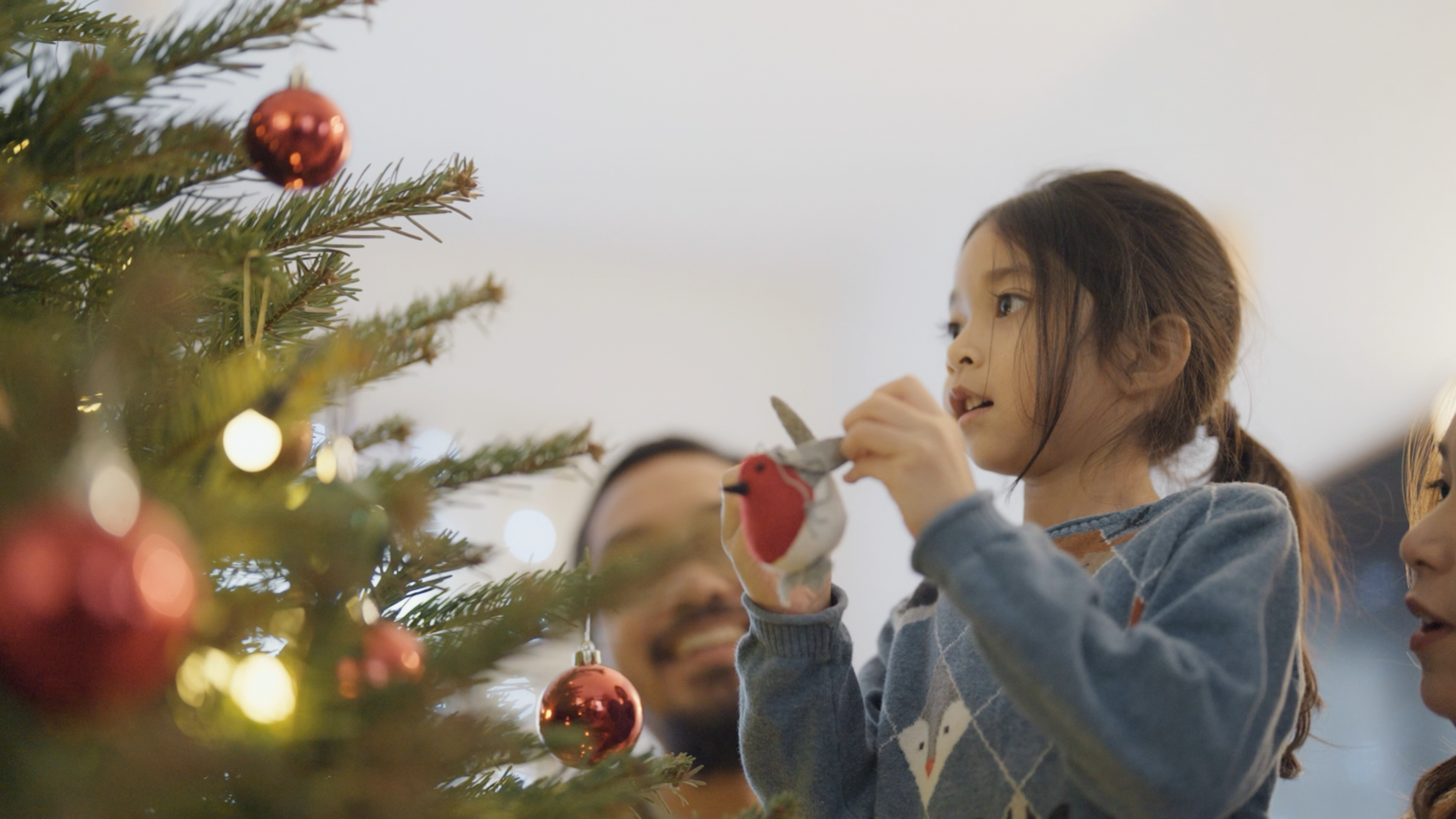 How weather and climate shape the perfect Christmas tree