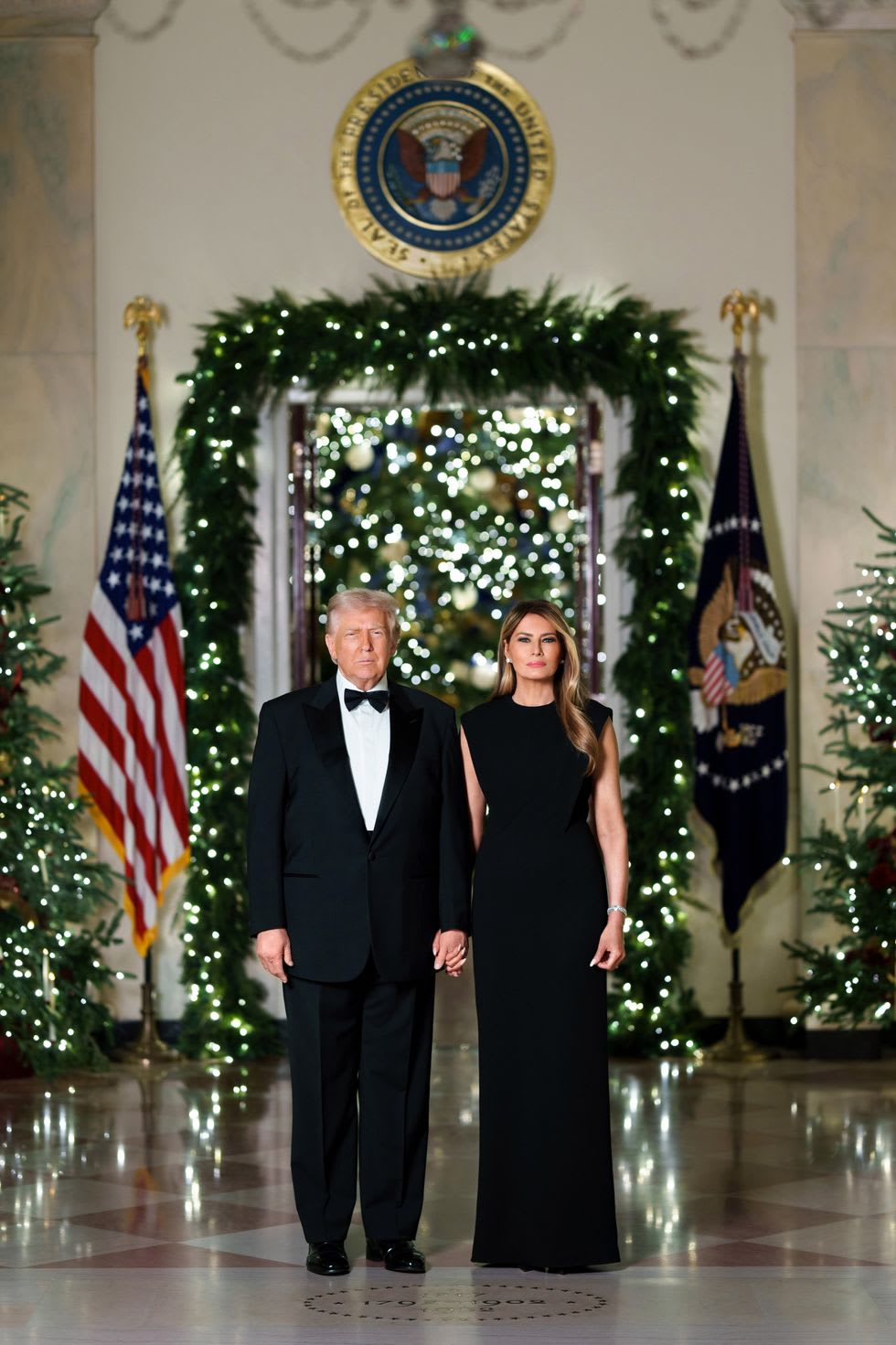 Pictured: Donald Trump poses for White House Christmas portrait ...