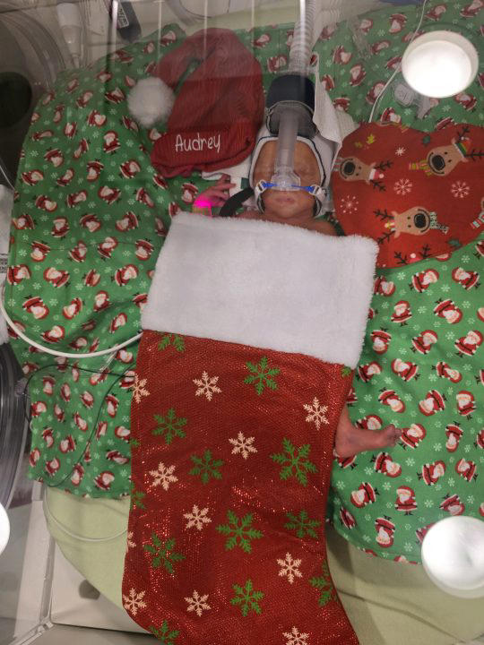 Photos: Santa visits NICU at Mission Hospital