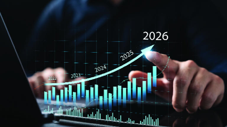 Budget may consolidate growth by backing domestic demand: EY report