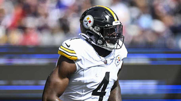 Steelers' DK Metcalf facing legal ramifications after fan altercation