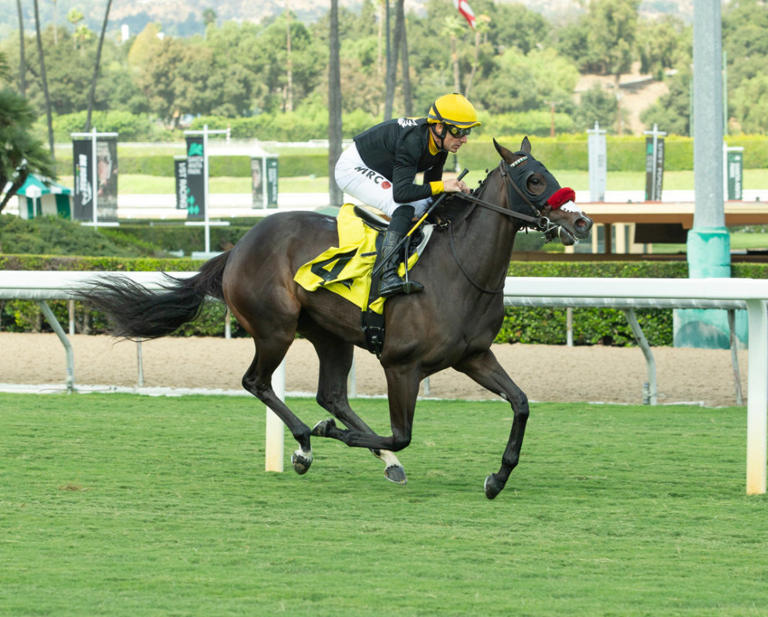 Latte Luv heads contentious Blue Norther field