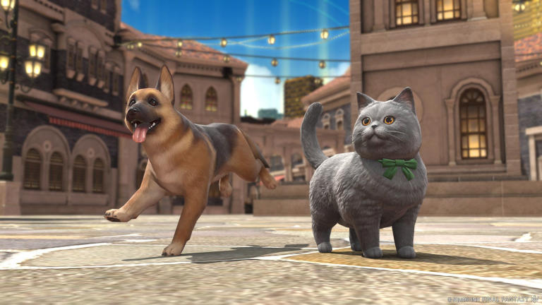 How to get La Noscean shorthair cat and gallant shepherd in FFXIV