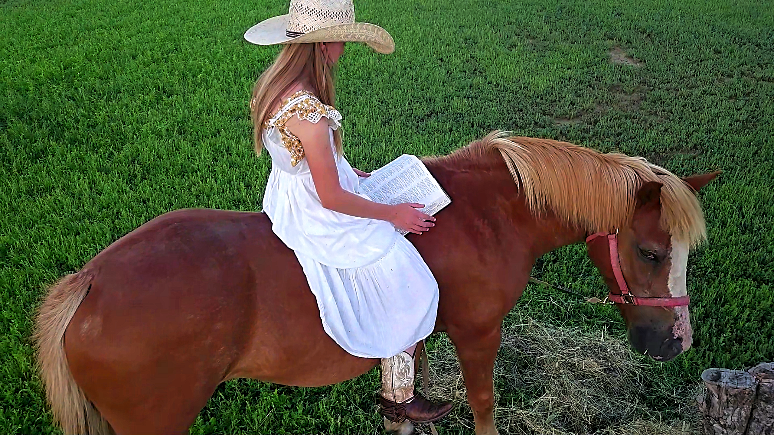 I captured a rare horse moment with a girl on camera