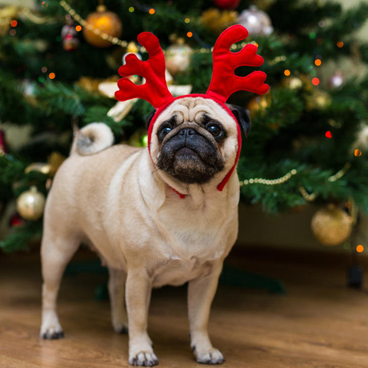 10 holiday gatherings that proved family drama has no days off