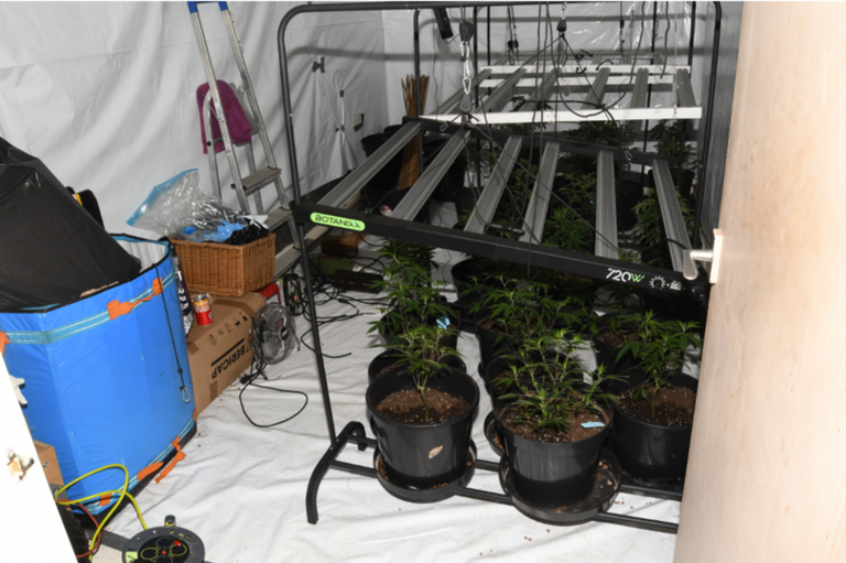 How police busted an amphetamine lab, smashed a converted guns ...