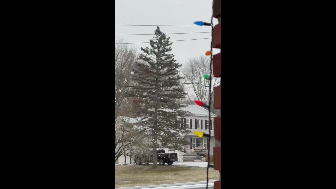 Large snowflakes fall steadily during winter storm in Trumbull ...