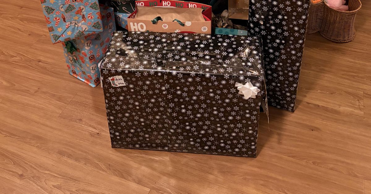 Do you have the sharp eyes to find the hidden cat in this Christmas ...