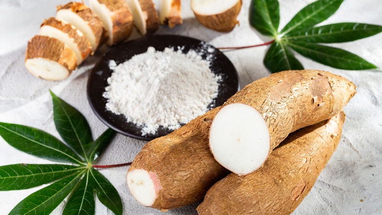Tapioca vs. cassava flour: What's the difference?