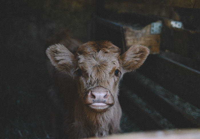 36 teachers share unbelievable student excuses for being late that ...