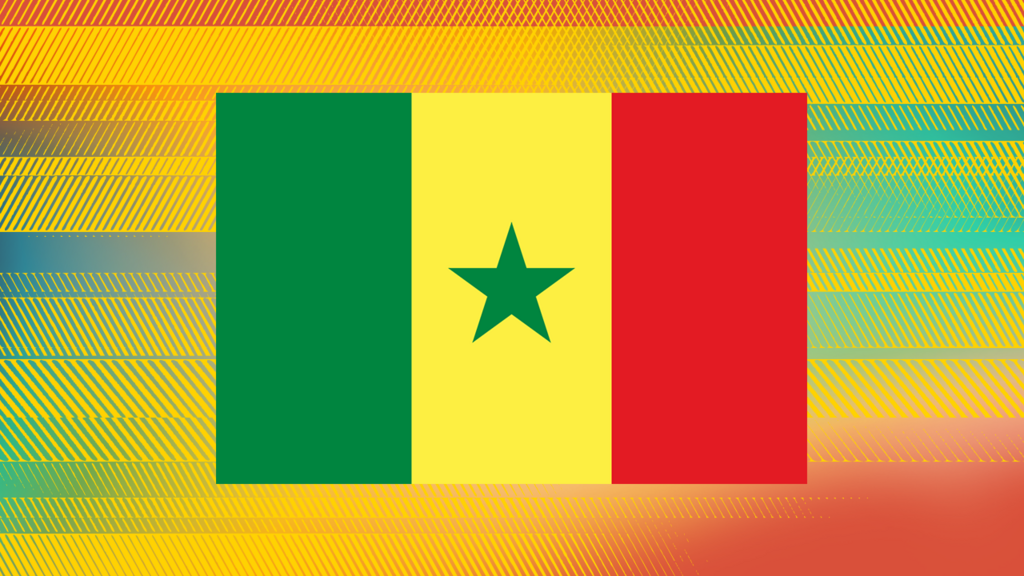 Sénégal - Botswana : les Lions de la Teranga s'imposent facilement face ...