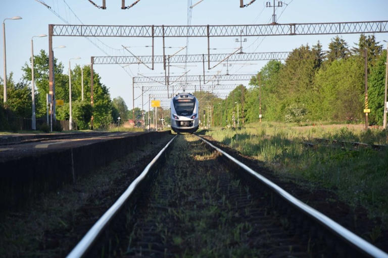 Nowa linia kolejowa przez Żuławy. Politycy mówią wprost: Trzeba działać ...