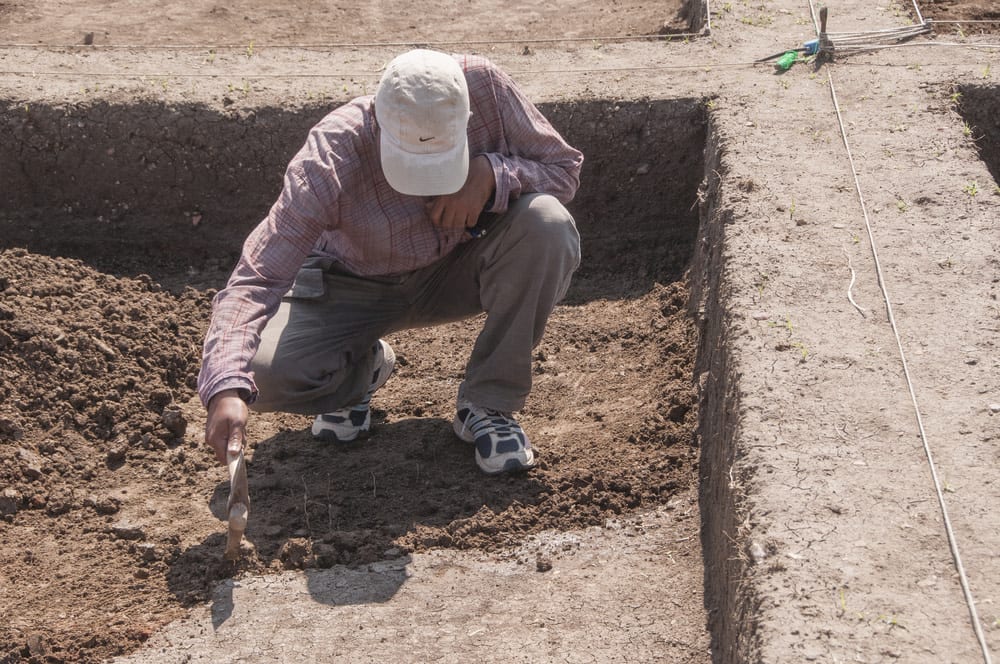 Archaeologists find 2,000-year-old labyrinth that reveals India’s role ...
